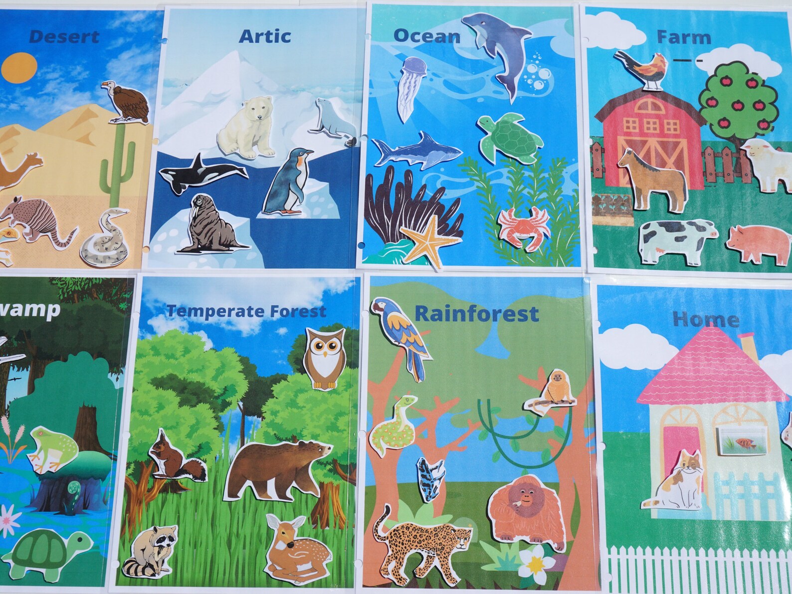 Pre-k SCIENCE Busy Book Curriculum Science Unit Study Printable BUNDLE ...