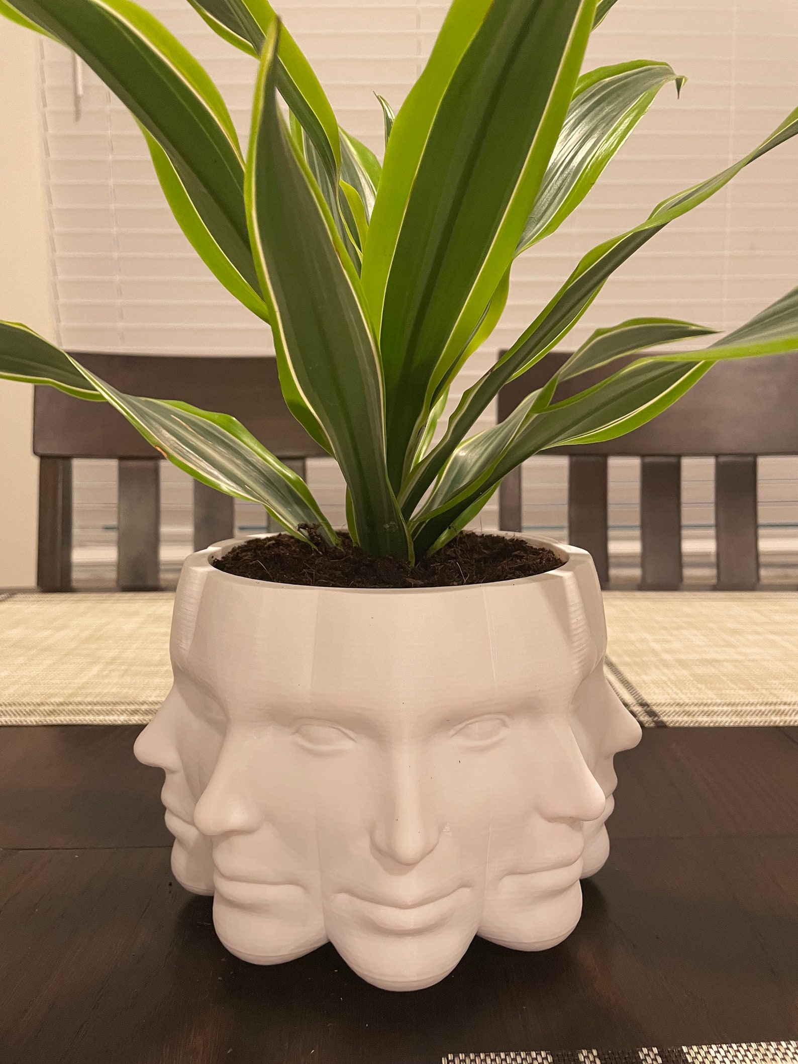 Polyface Planter 3D Print Succulents Bonsai or Any Plant - Etsy