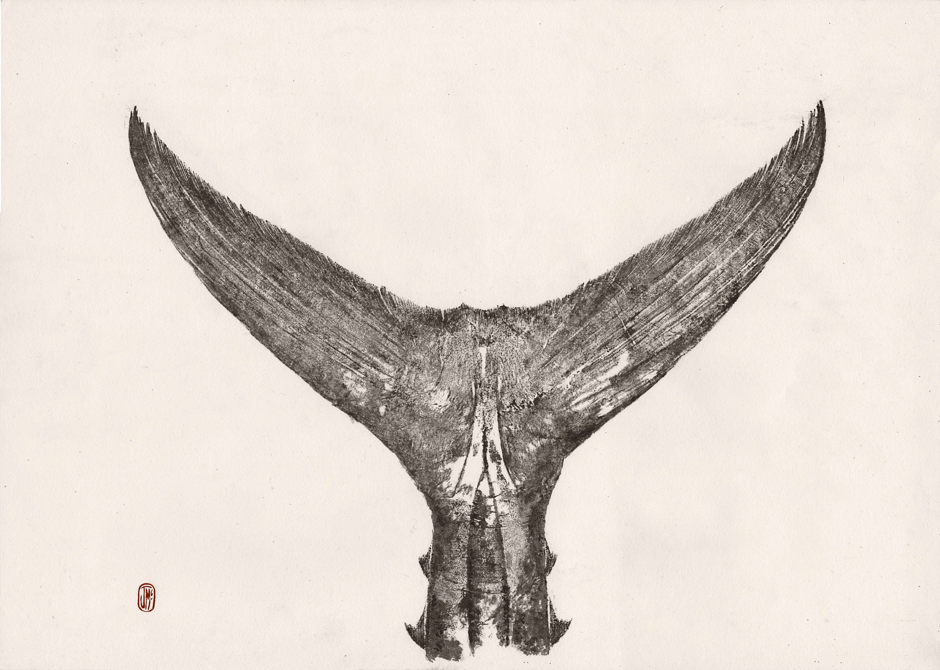 Gyotaku Fish Print of Bluefin Tuna Tail Sumi Ink on Off-white ...