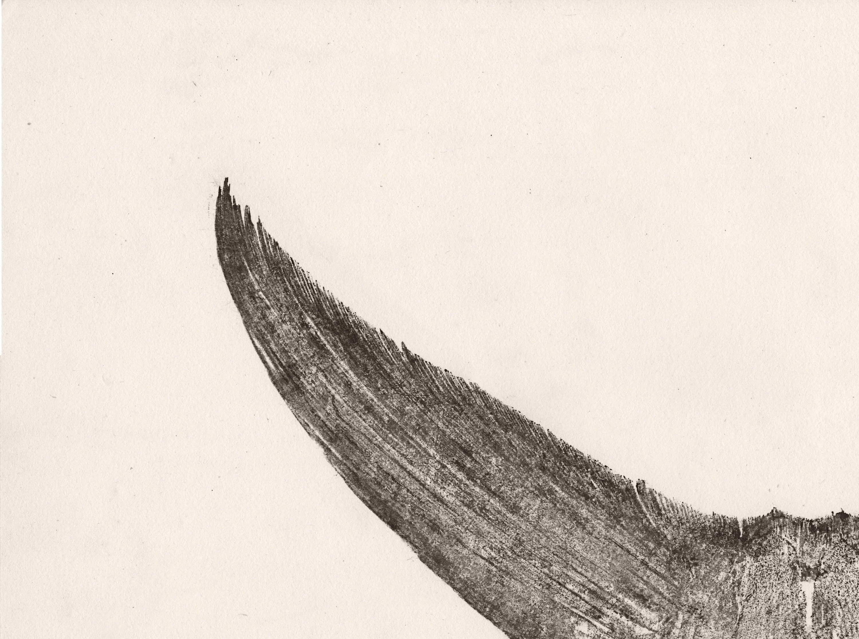 Gyotaku Fish Print of Bluefin Tuna Tail Sumi Ink on Off-white ...