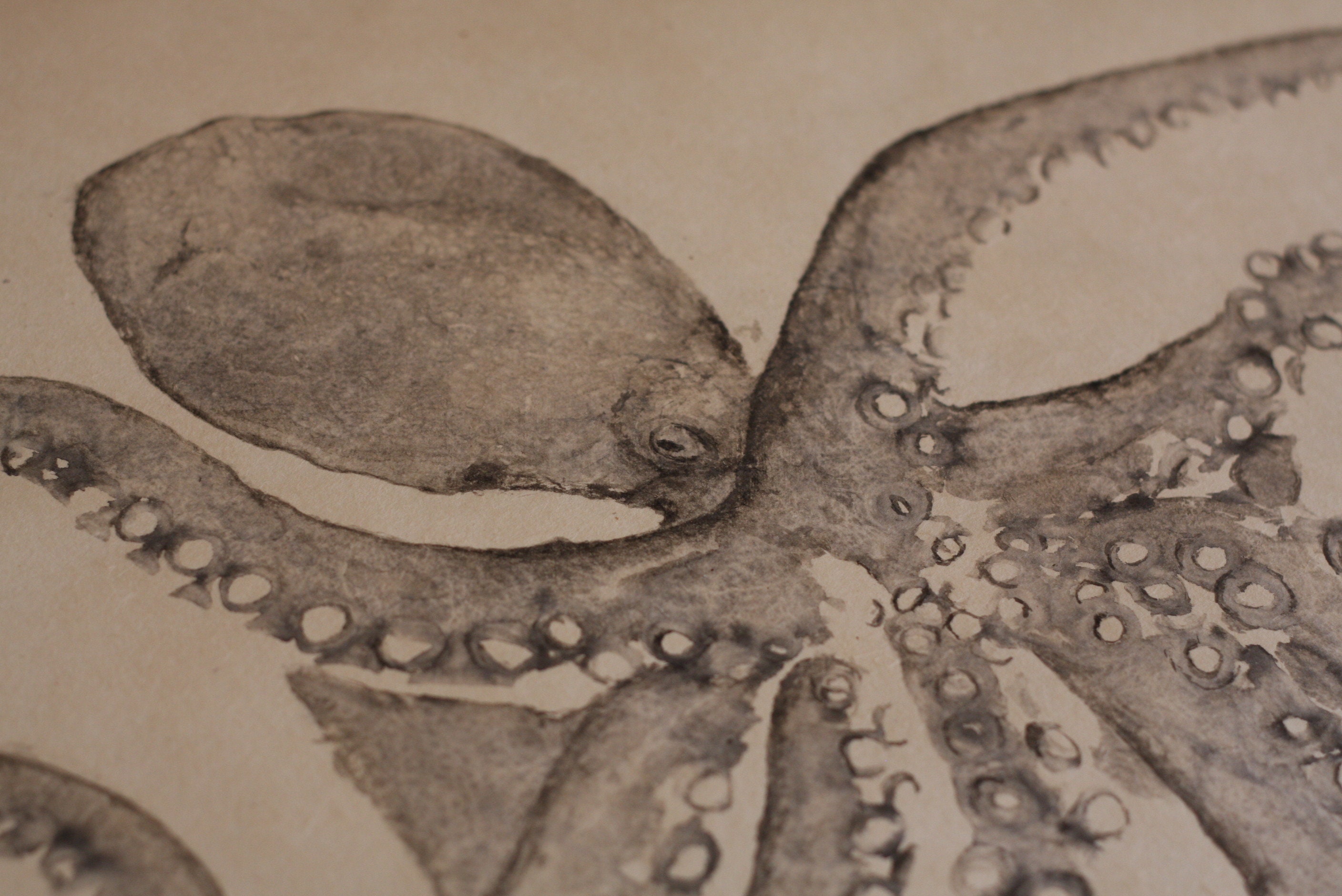 Gyotaku Print of California Two-spot Octopus in Black Sumi Ink on Tan ...