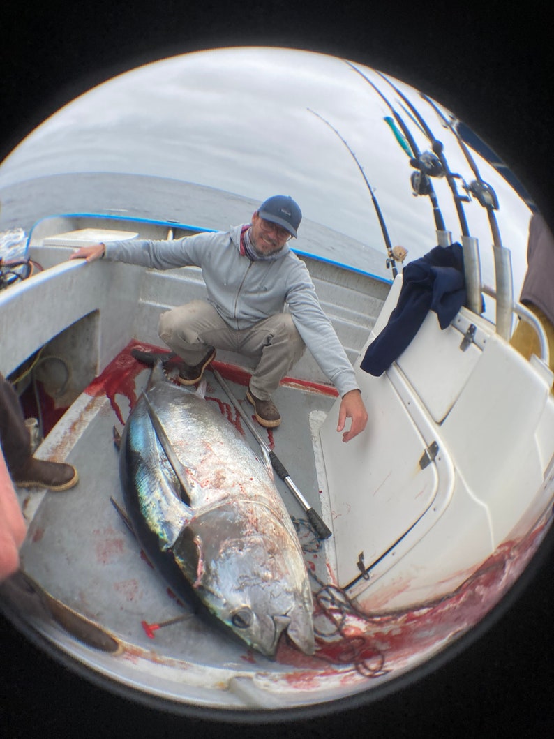 Gyotaku Fish Print of Bluefin Tuna Tail Sumi Ink on Off-white ...