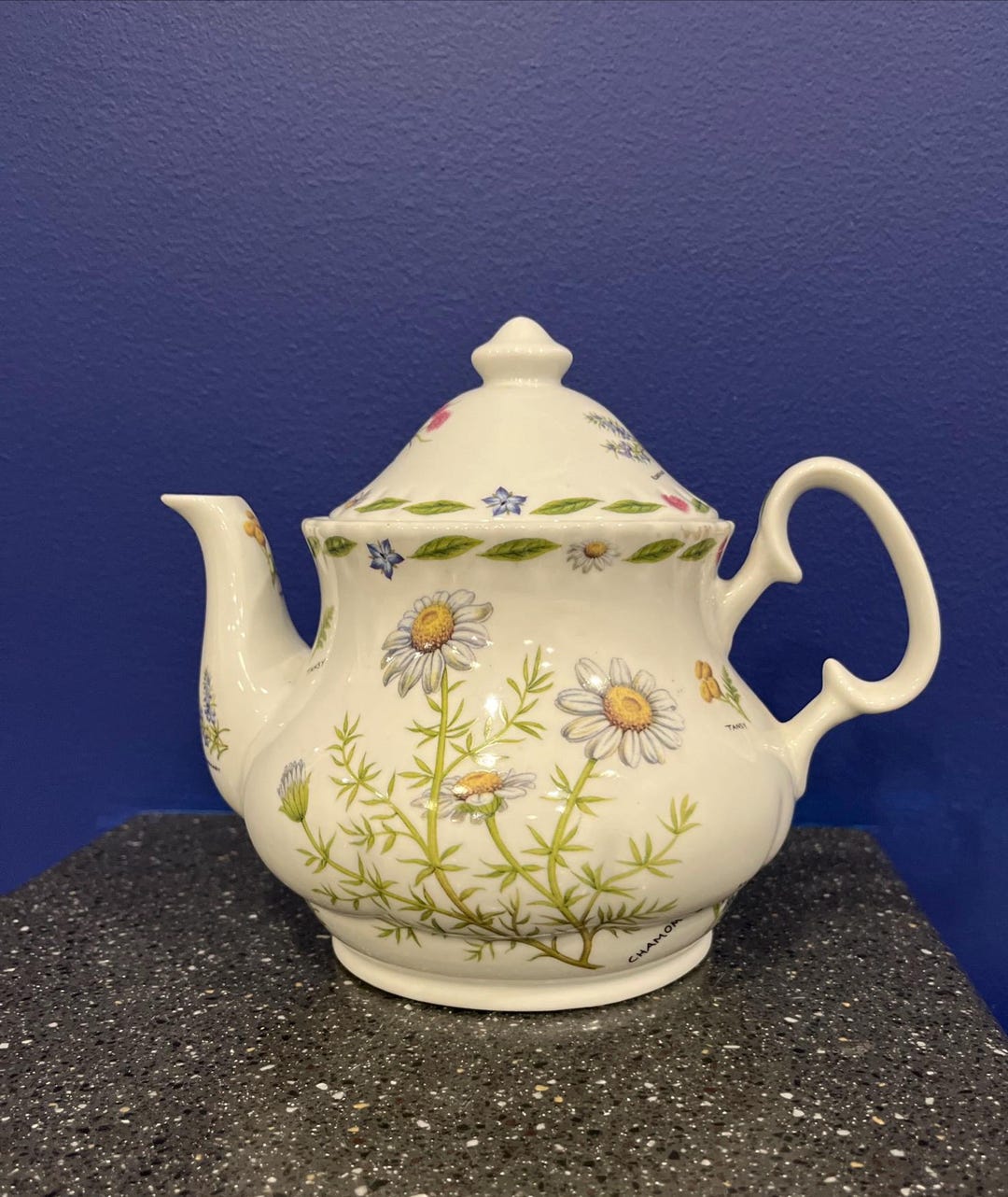 Kent Pottery Herb Garden White Ceramic Tea Pot W/special Ergonomic ...