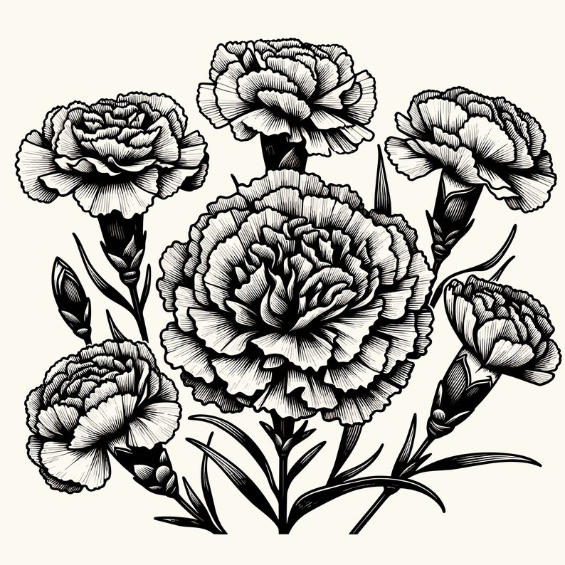 Elegant Carnation SVG Pack - Instant Download - Etsy