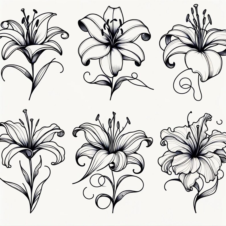 Graceful Lily SVG Pack - Etsy