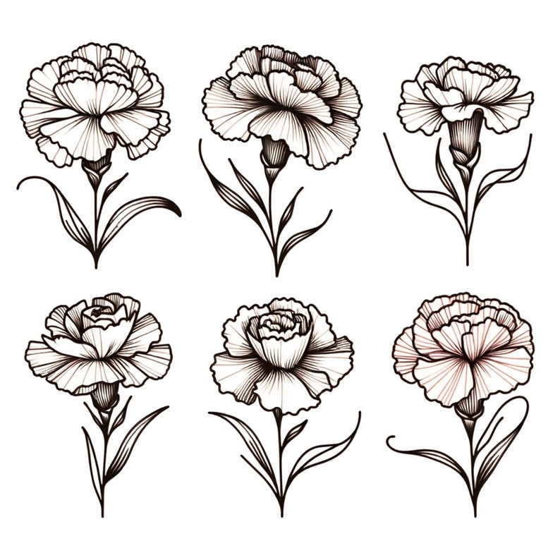 Elegant Carnation SVG Pack - Instant Download - Etsy