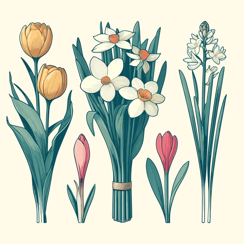 Digital Spring Flower Bouquet Images Pack - Tulips, Daffodils, Crocuses ...