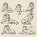 Digital Line Art Style Animals SVG Pack - Lion, Tiger, Penguin, Koala ...