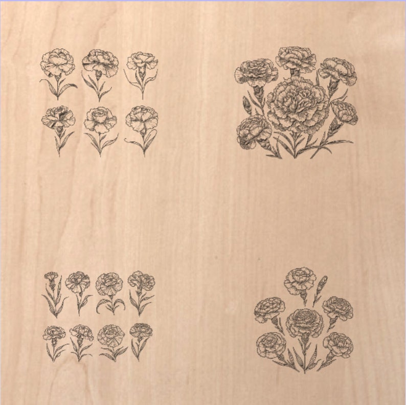 Elegant Carnation SVG Pack - Instant Download - Etsy