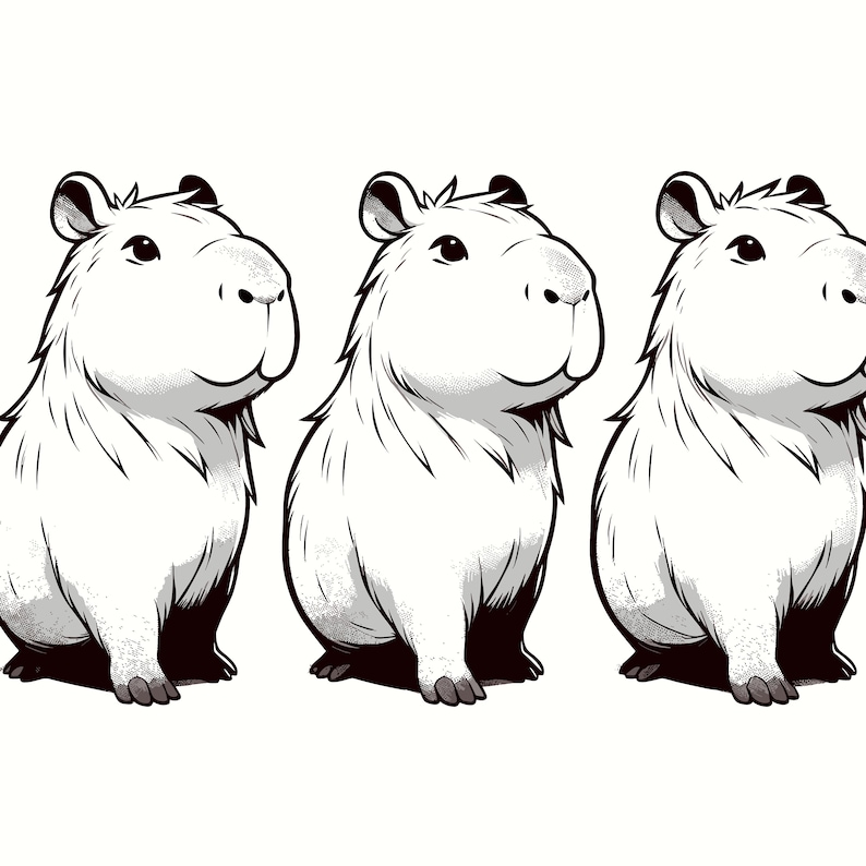Digital Capybara Images Pack - Cute Capybara Illustrations - Instant ...