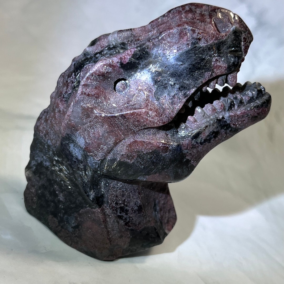 Garnet in Arfvedsonite Dinosaur Skull | Garnet Crystal Skull | Garnet T ...