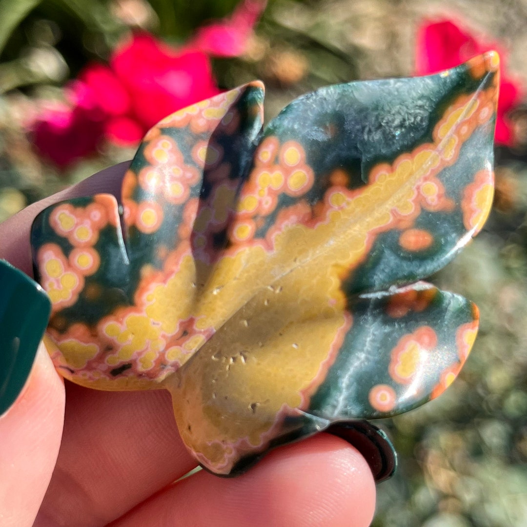 Old Stock Orbicular Ocean Jasper Leaf | Ocean Jasper Leaves | Orbicular ...