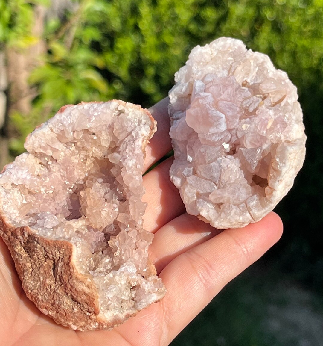 Rare Pink Amethyst Geode Raw Crystal Cave Mineral Specimen ~ Collectors ...