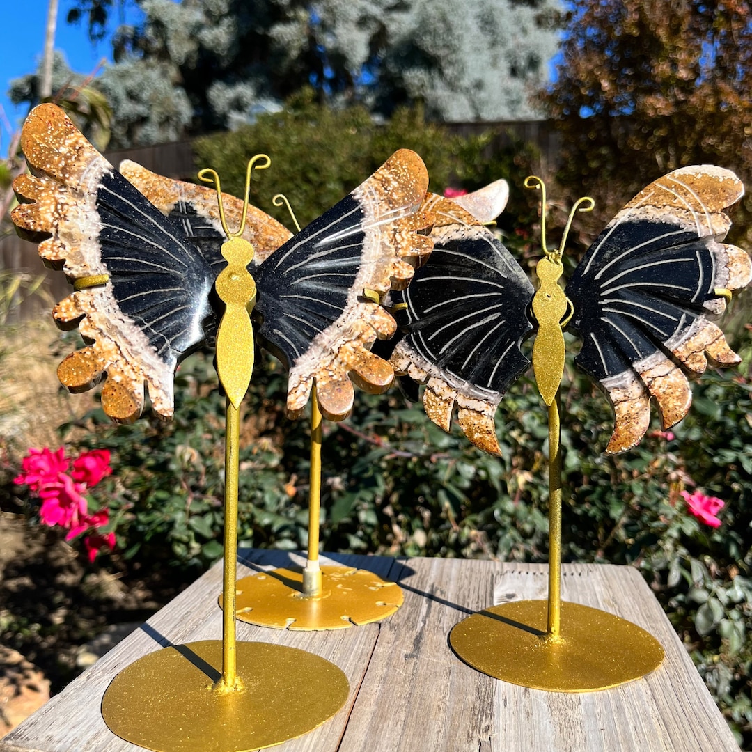 Palm Root Crystal Butterfly | Crystal Butterfly | Black Stone Butterfly ...
