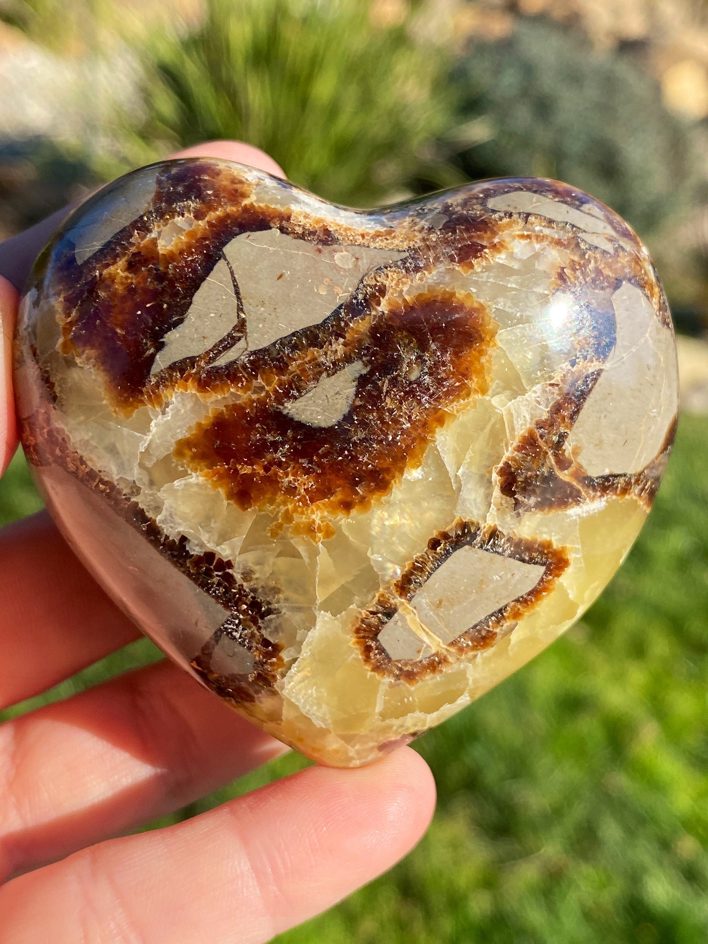 Rocks & Geodes Home Décor Home & Living Septarian Heart Crystal etna.com.pe