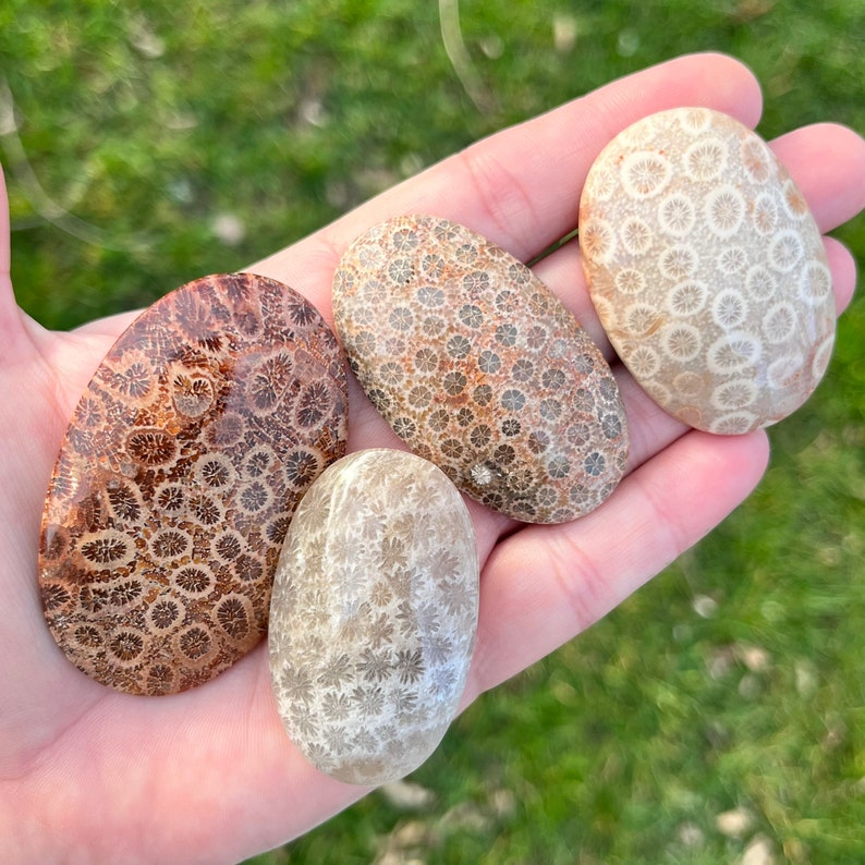 Coral Jasper Palm Stone | Crystal Palm Stones - Etsy