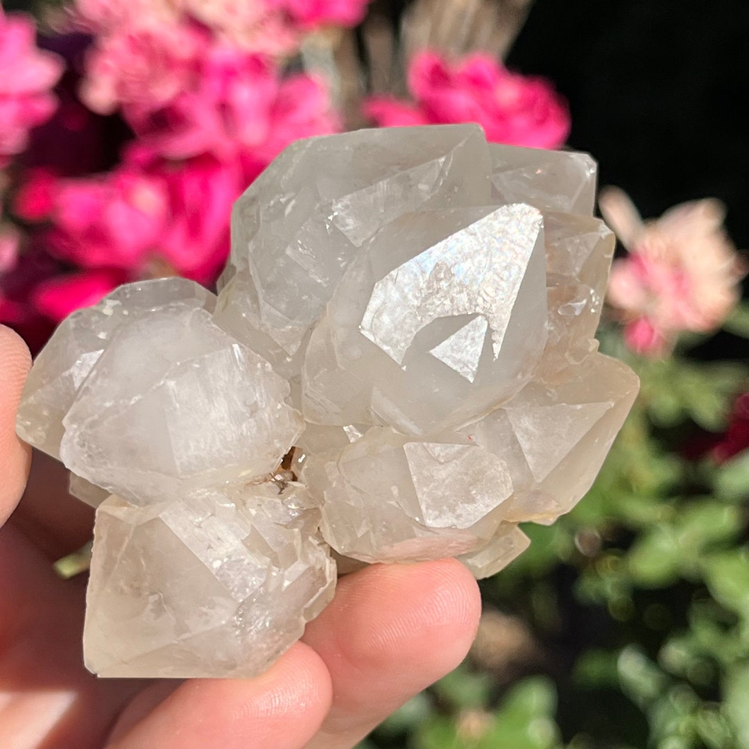 Rare Unique Quartz Flower DT Crystal Cluster ~ Collectors Display ...