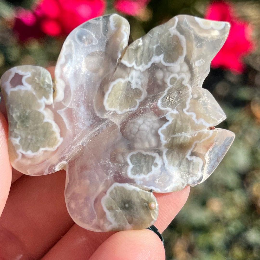 Old Stock Orbicular Ocean Jasper Leaf Ocean Jasper Leaves - Etsy