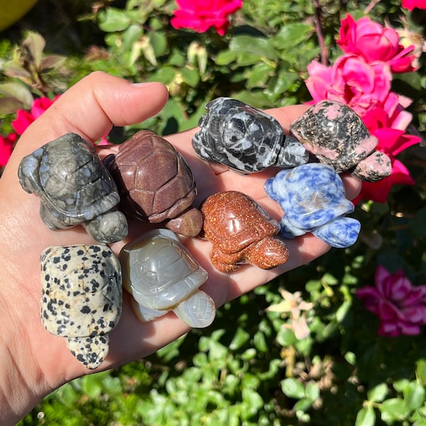 Carved Stone Turtle - Etsy