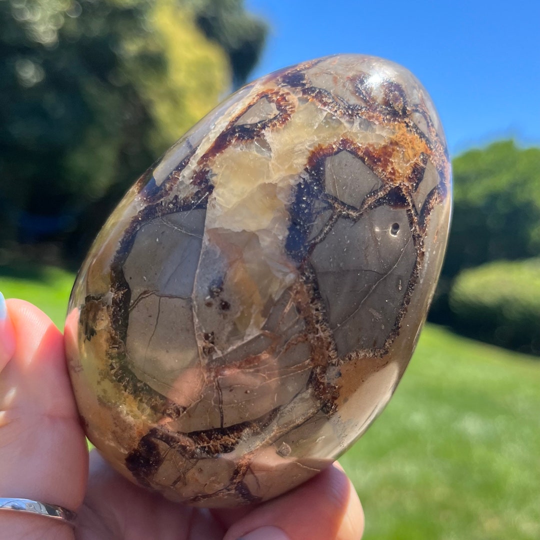 Large Septarian Egg Separtarian Nodule Crystal Egg Septarian Dragons ...