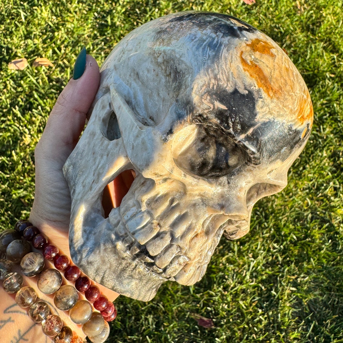 Yana Skull | Big XXL Fossilized Palm Root Skull | Crystal Skull | Skull ...