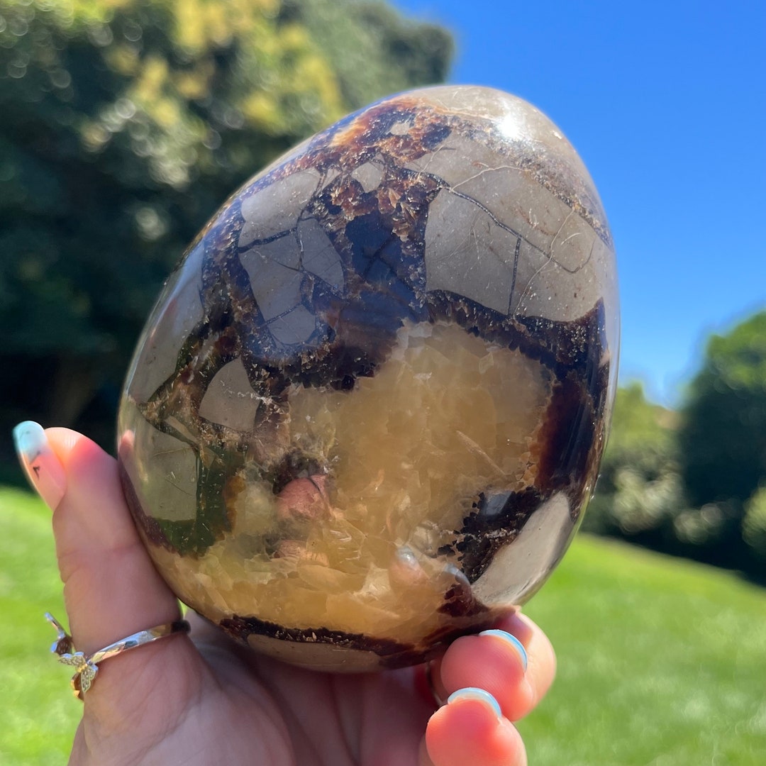 Large Septarian Egg Separtarian Nodule Crystal Egg Septarian Dragons Egg Madagascar Septarian - Etsy