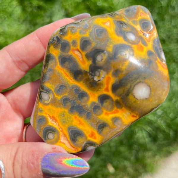 Bumble Bee Jasper - Etsy