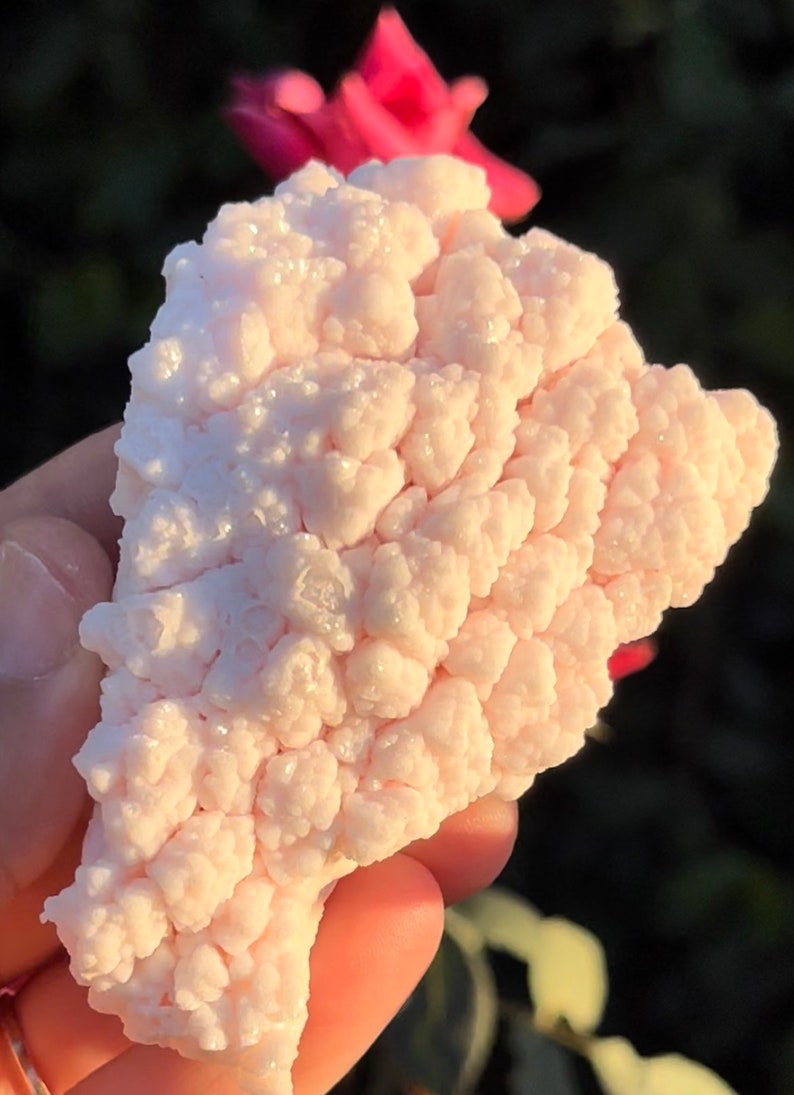 Pink Mangano Calcite Mineral Specimen Manganoan Raw Calcite - Etsy