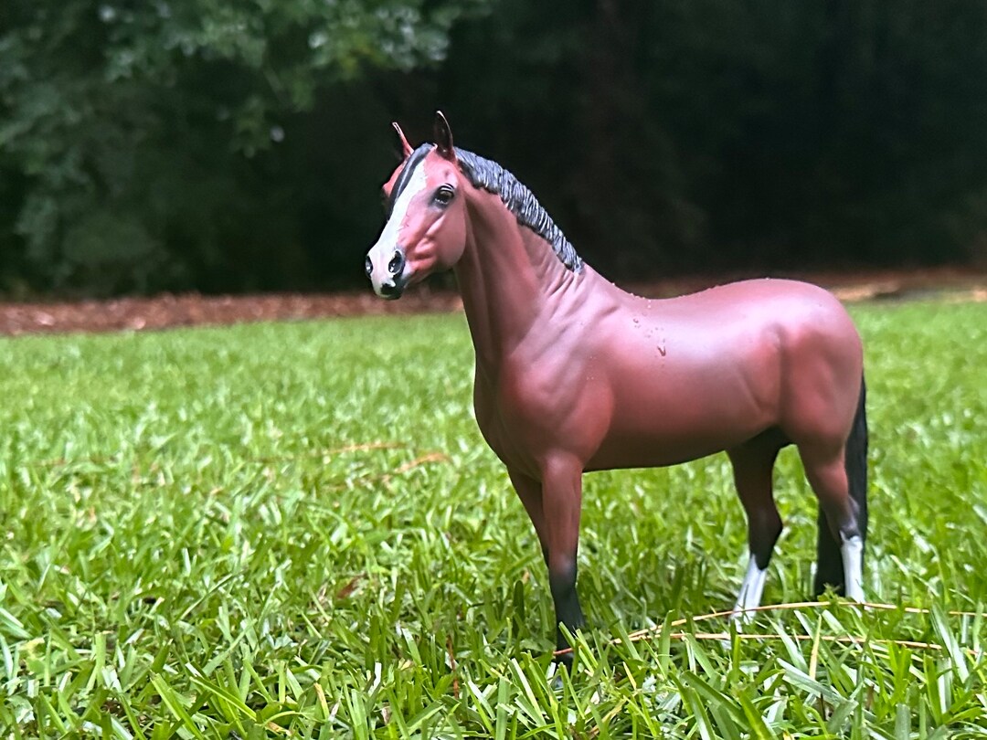 Custom Breyer Made to Order - Etsy