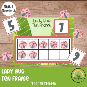 Lady Bug Ten Frame Numbers 1-10 Count and Match Montessori | Etsy