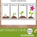 Flower Sequencing Cards Preschool Curriculum Preschool | Etsy