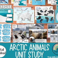 Polar Bear Unit Study: Life Cycle, Anatomy, Homeschool Printable ...