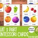 Montessori 3 Part Fruit Cards Preschool Printable - Etsy