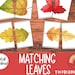 Matching Leaves Fall Activity for Kids Toddler Activity - Etsy
