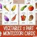 Montessori 3 Part Vegetable Cards Preschool Printable - Etsy