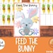 Feed the Bunny, Preschool Worksheets, Preschool Printable, Homeschool ...