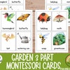 Camping Flash Cards, Preschool Printable, Preschool Learning ...