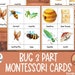 Camping Flash Cards, Preschool Printable, Preschool Learning ...