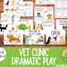 Vet Clinic Dramatic Play Pretend Play Classroom Dramatic - Etsy