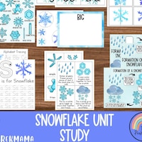 Snow Unit Study & Snowflakes Printable Bundle Winter Homeschool ...
