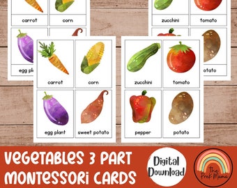 Montessori 3 Part Garden Cards Preschool Printable | Etsy