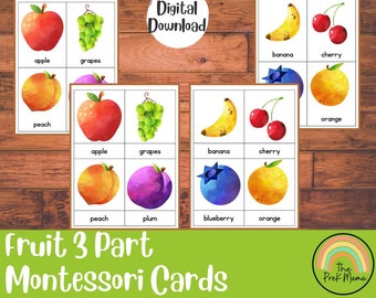 Montessori 3 Part Vegetable Cards Preschool Printable | Etsy