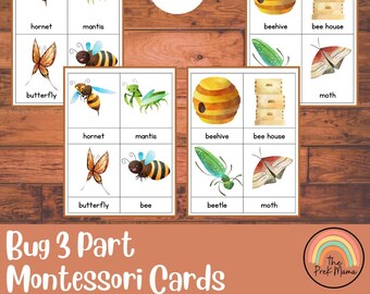 Montessori 3 Part Vegetable Cards Preschool Printable | Etsy