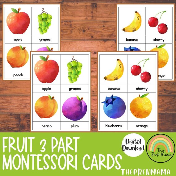 Montessori 3 Part Fruit Cards Preschool Printable - Etsy