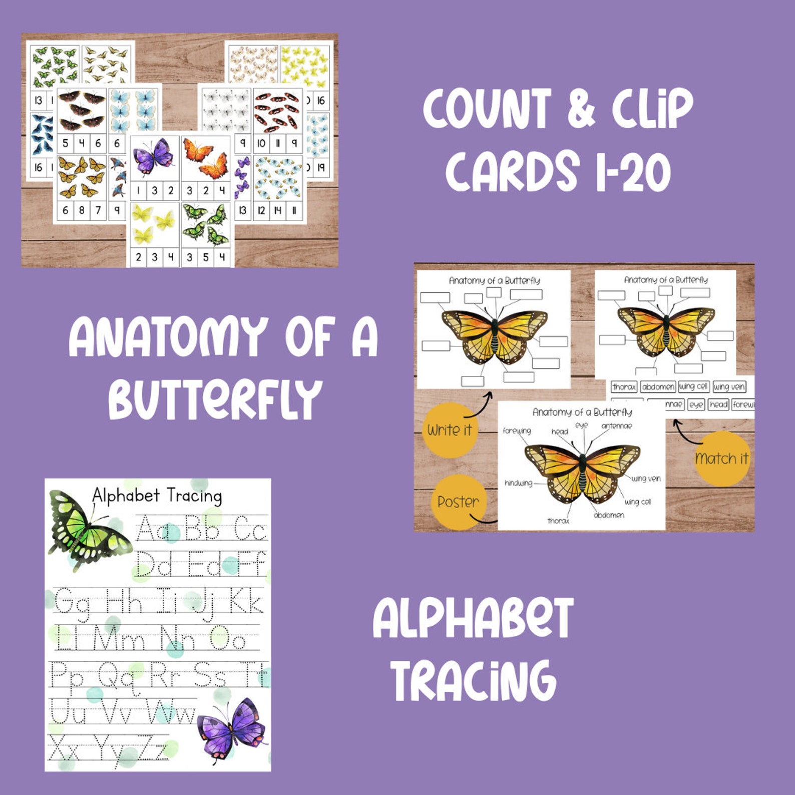 Butterfly Bundle, Montessori Homeschool Printable, Preschool Printable ...