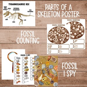 Fossil Bundle, Dinosaur Preschool Worksheet, Preschool Printable ...