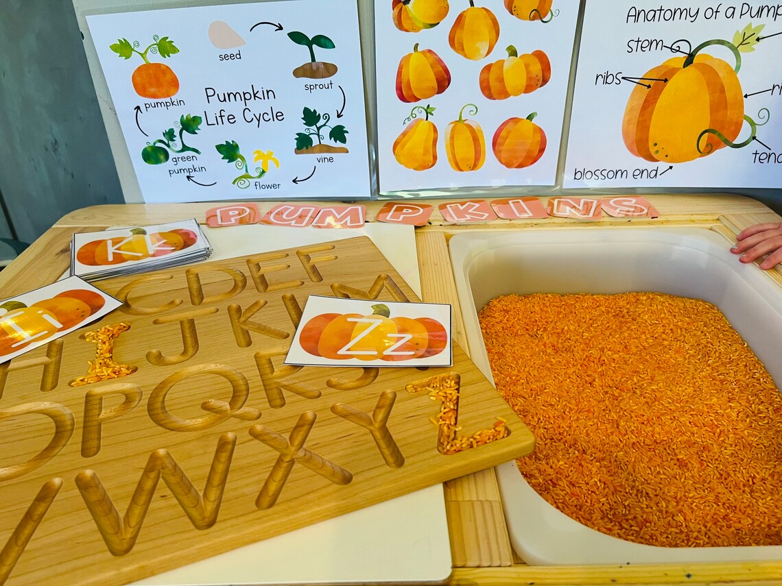 Pumpkin Unit Study Homeschool Learning Materials Educational - Etsy