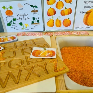 Pumpkin Unit Study Homeschool Learning Materials Educational Activities ...