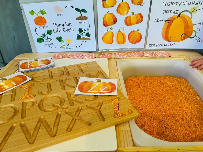 Pumpkin Unit Study Homeschool Learning Materials Educational Activities ...