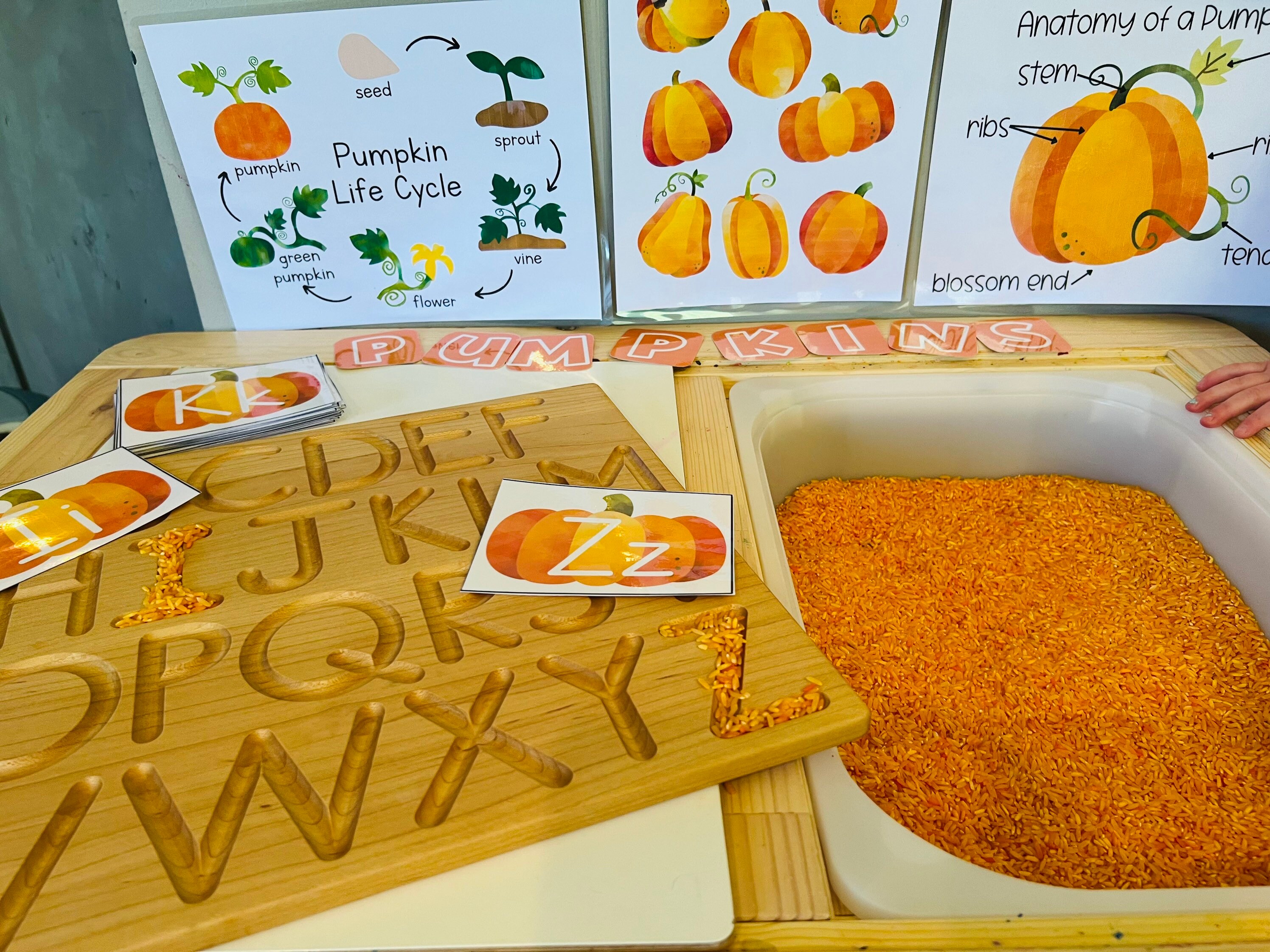 Pumpkin Unit Study Homeschool Learning Materials Educational Activities ...